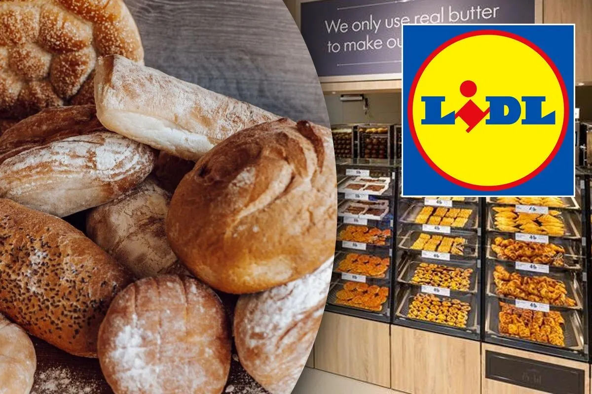Unde se fac produsele de la Brutăria Lidl și ce conțin cu adevărat ...