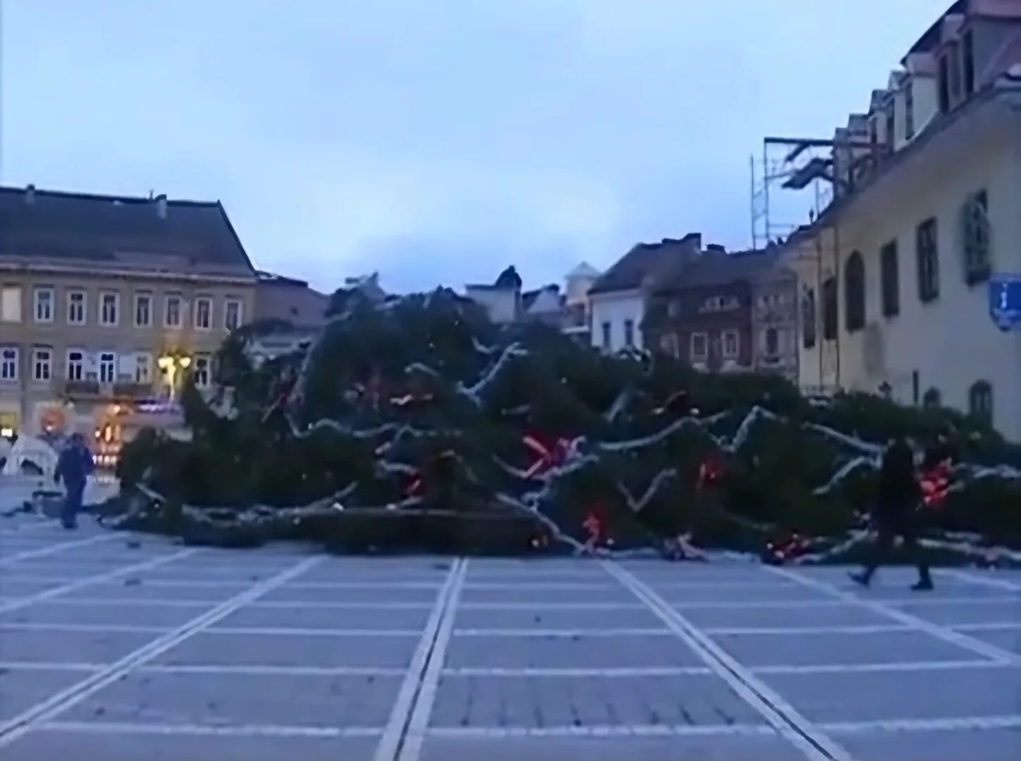 Cel mai înalt brad natural împodobit în centrul unui oraș din România s ...