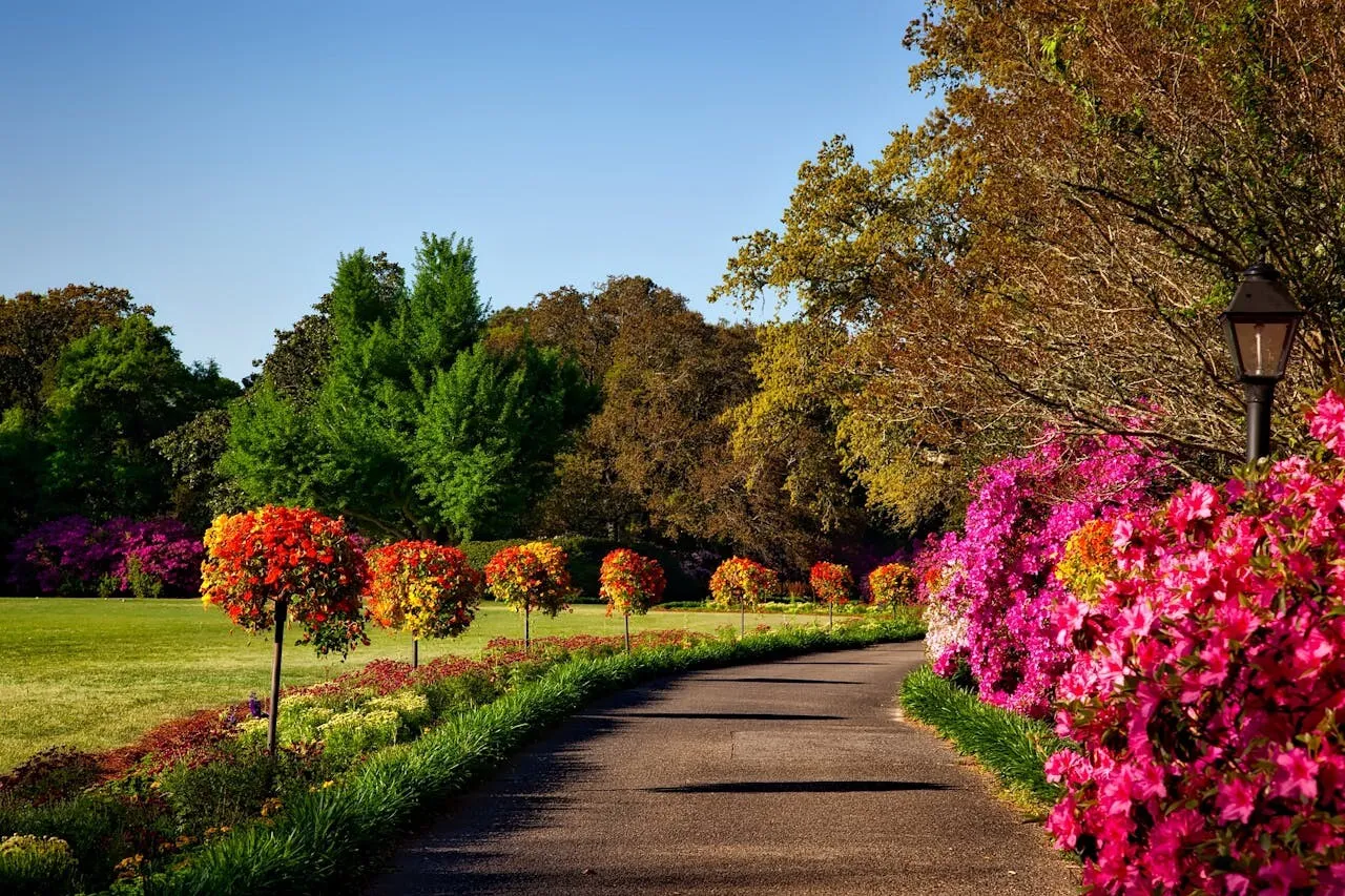 Parcul gigant ce răsare lângă Capitală. Unde va fi amenajată noua oază ...